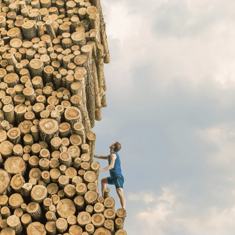 The performance pie - The Performance Room